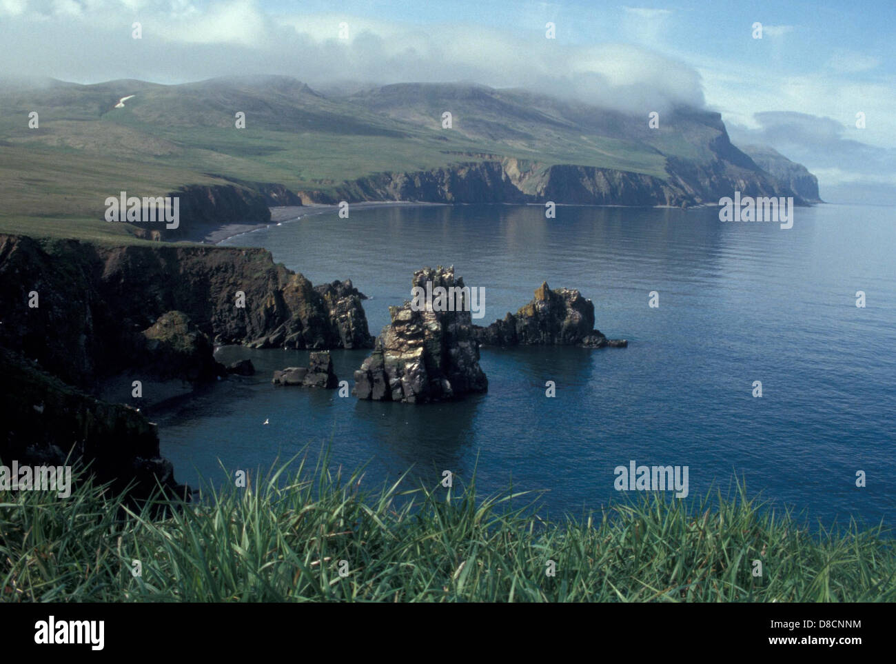 This image shows Hall Island, located in the Bering Sea. Hall Island is ...