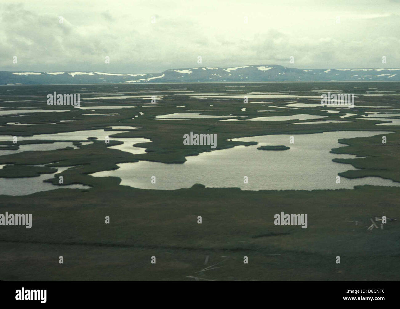 Hazen bay on the Yukon delta refuge Stock Photo - Alamy