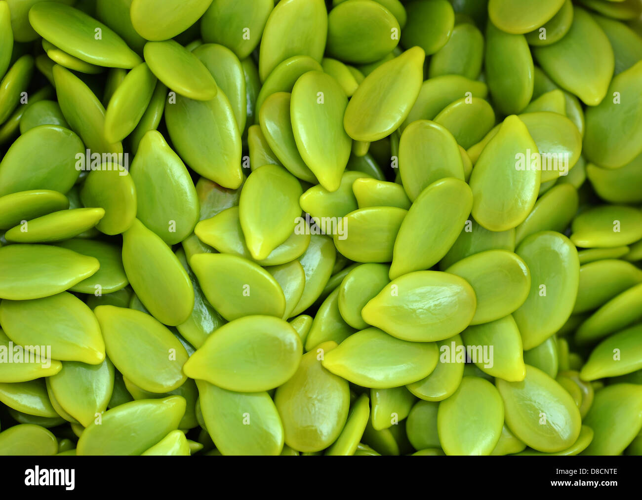 Acacia fruit hi-res stock photography and images - Alamy