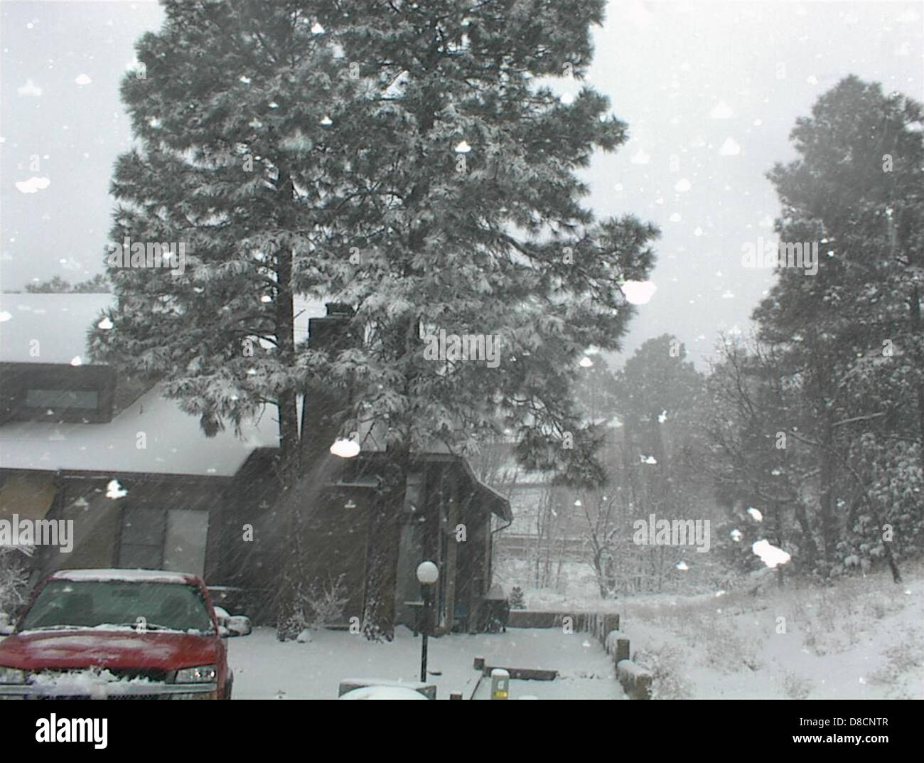 The image shows a scene of heavy snowfall, with snowflakes falling ...