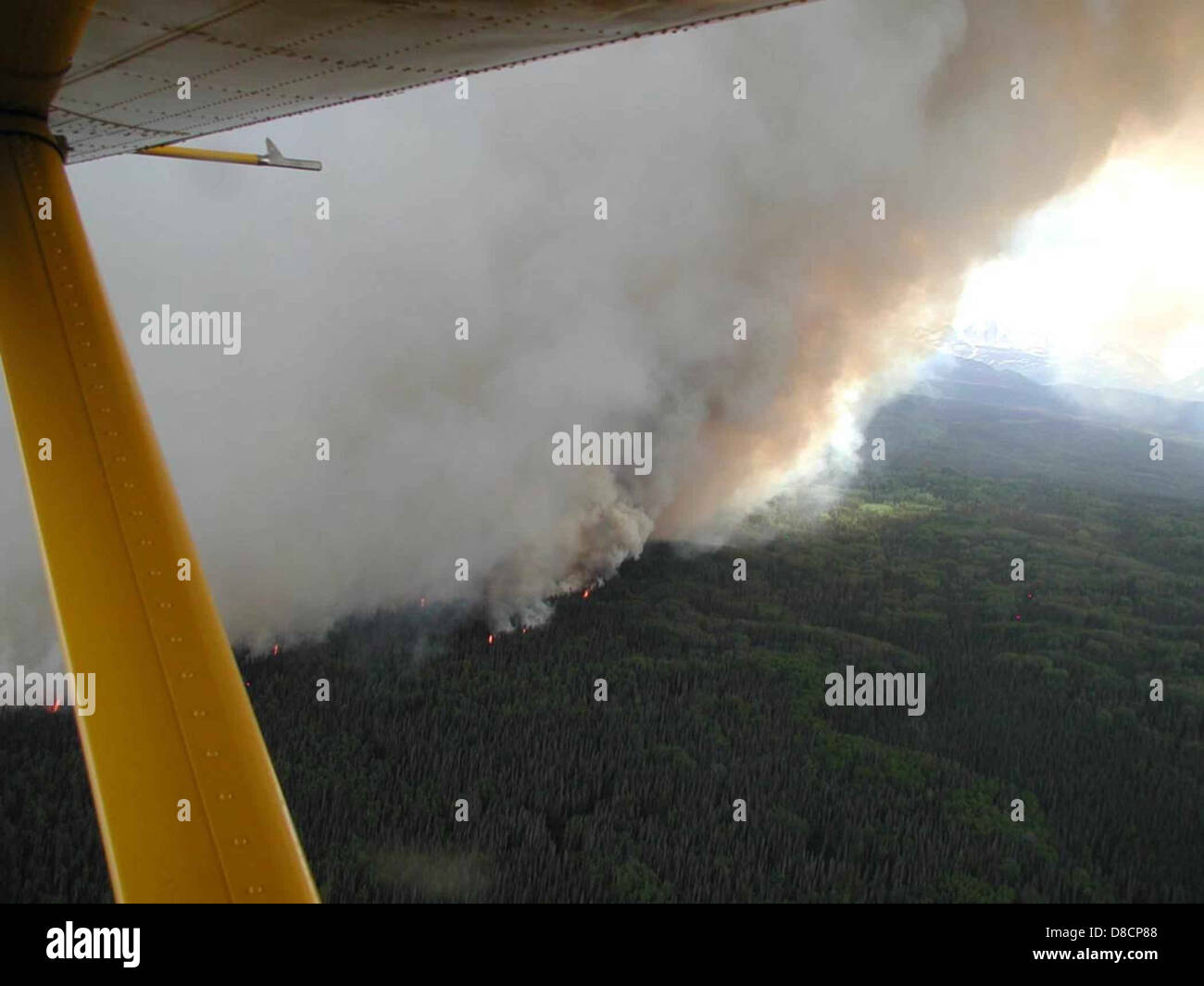 Thick smoke rising from a forest fire, signaling a large wildfire ...