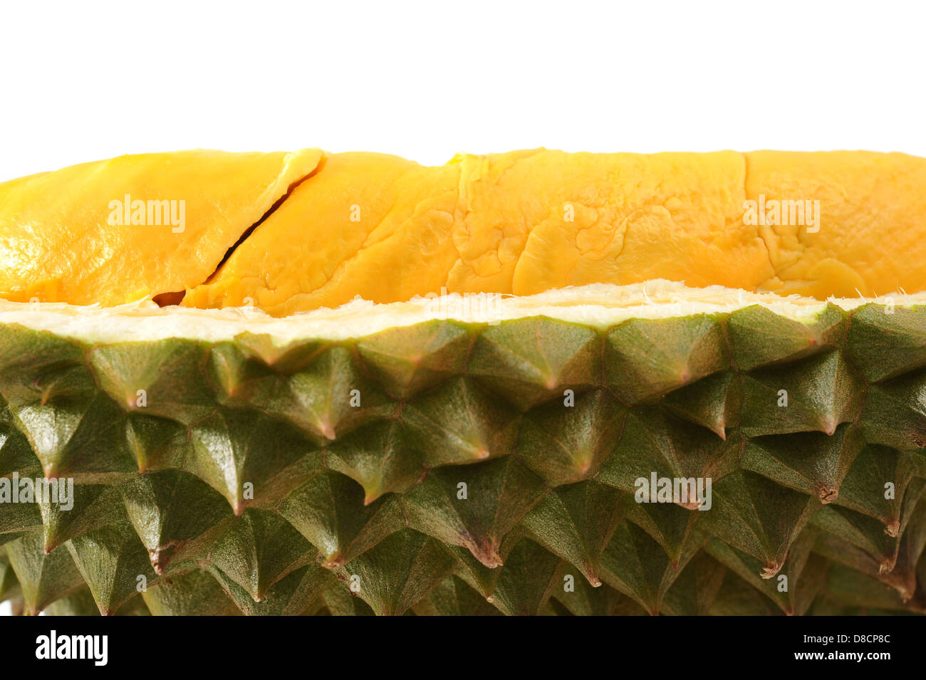 Cross section the fruit the durian hi-res stock photography and images ...