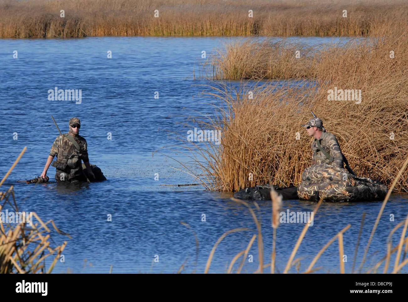 Hunters wade through the wetlands while hunting for waterfowl Stock ...