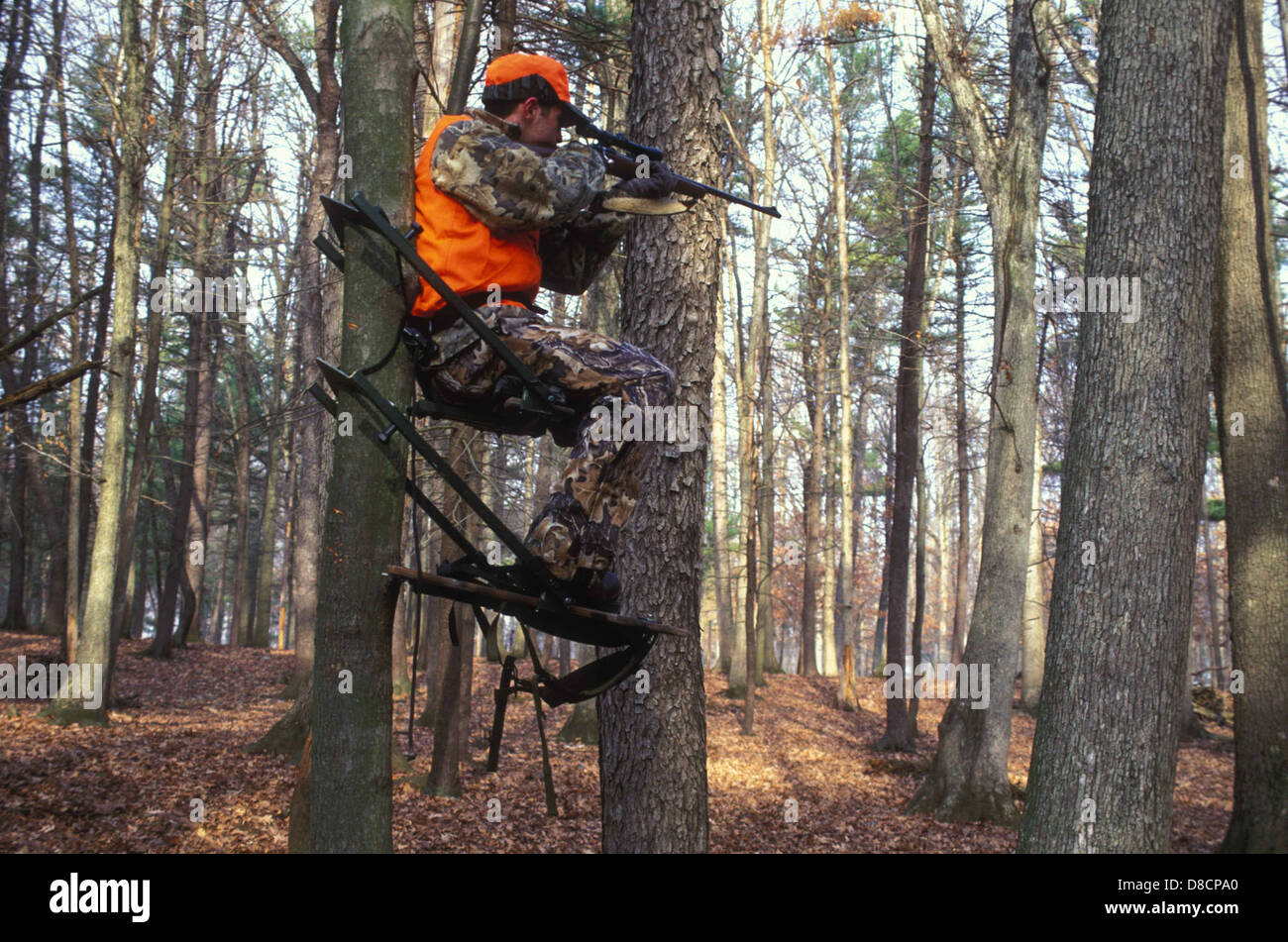 This image shows a hunter aiming through the scope of his rifle while ...