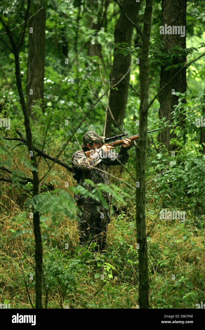A hunter is positioned with a rifle, taking aim at an animal perched in ...