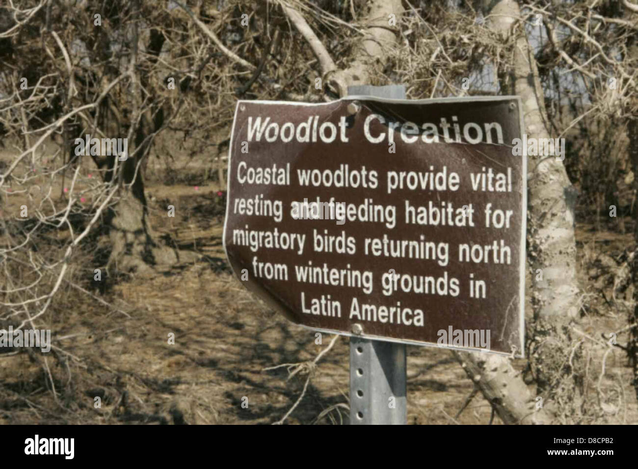 A damaged refuge sign caused by a hurricane. The sign is bent or broken ...