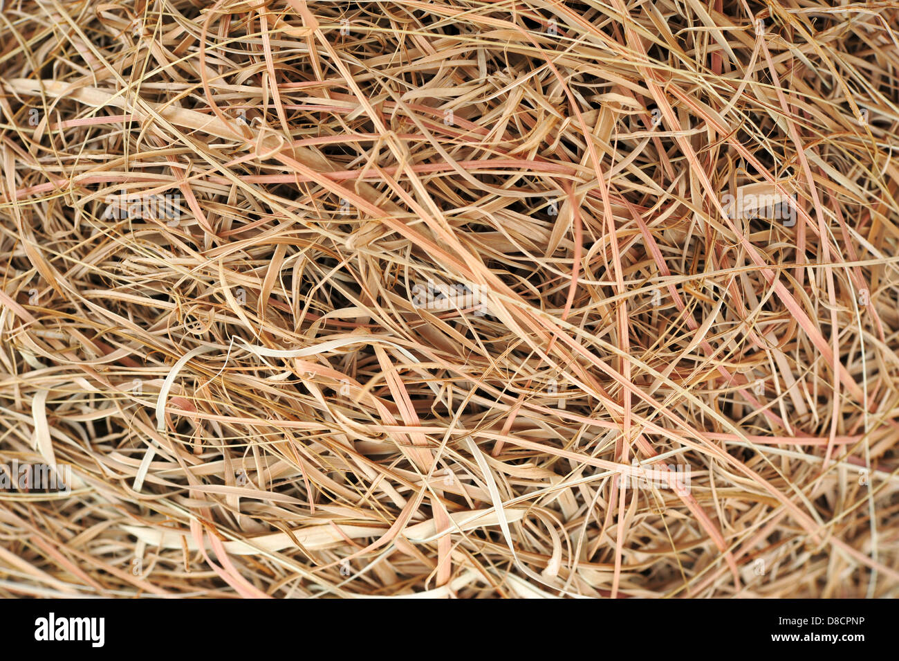 Hay backdrop hi-res stock photography and images - Alamy