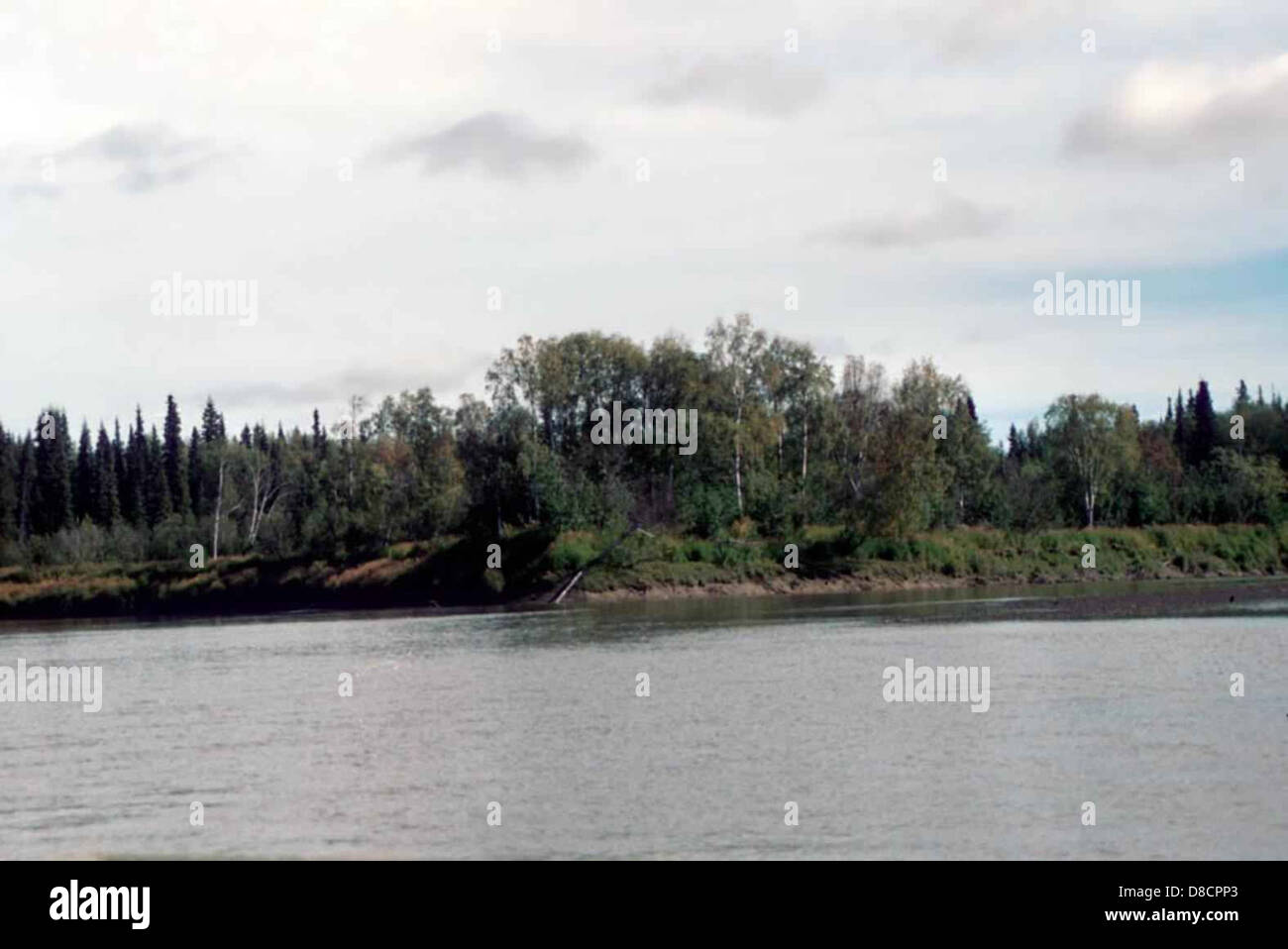 This scenic view shows the Innoko River, a major waterway in Alaska ...
