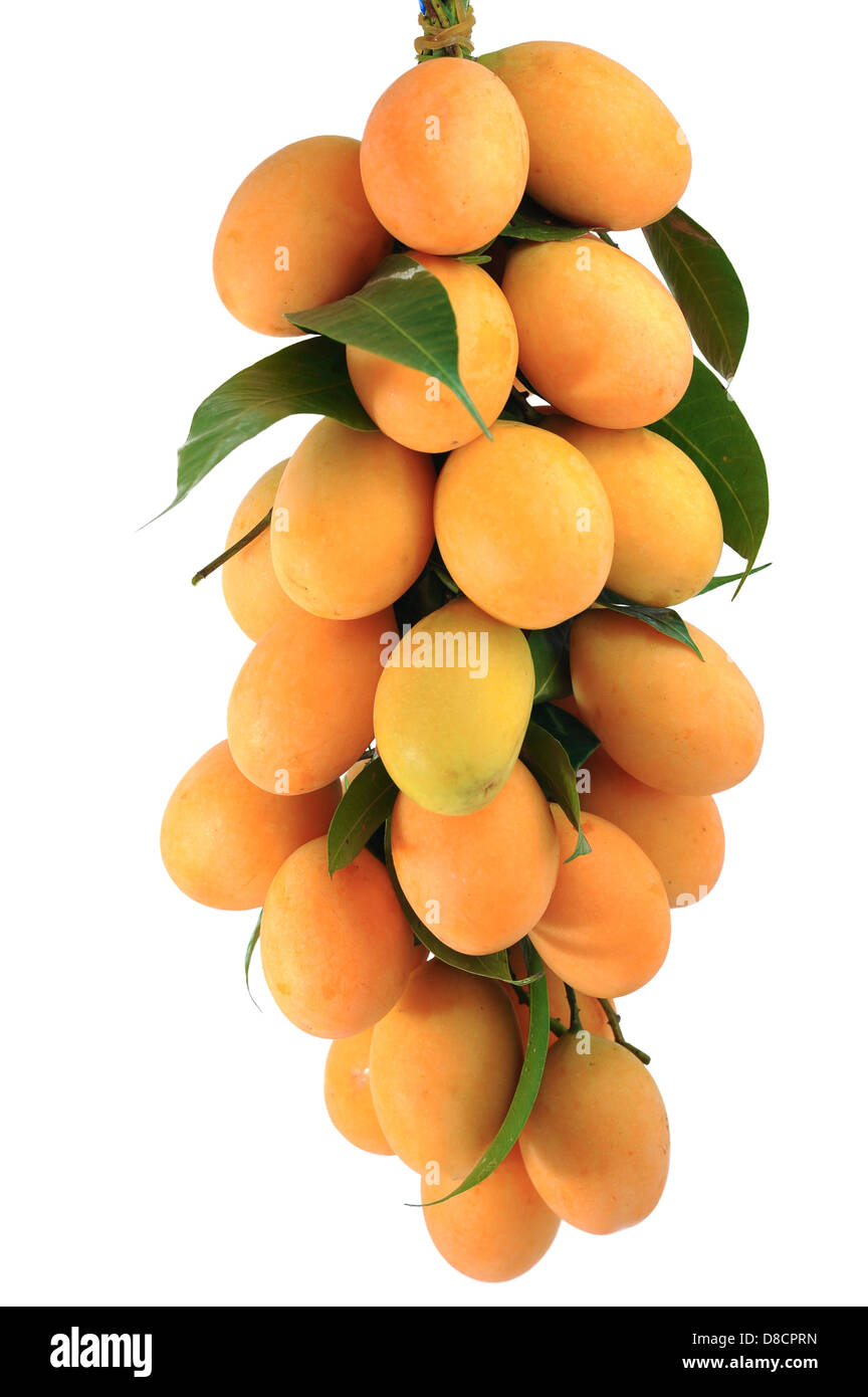 Maprang hi-res stock photography and images - Alamy