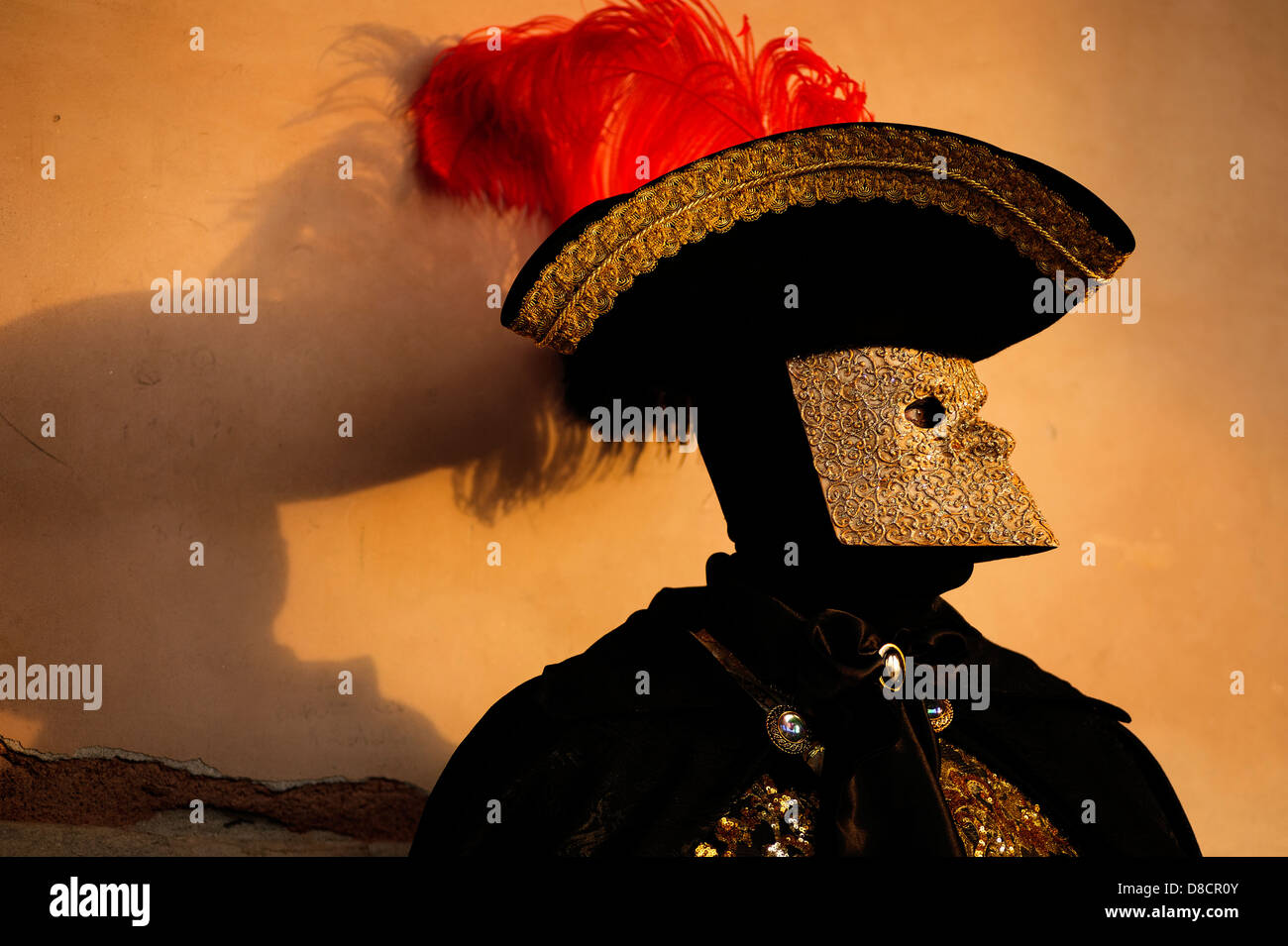 A carnival participant wearing full costume at sunset time during the ...