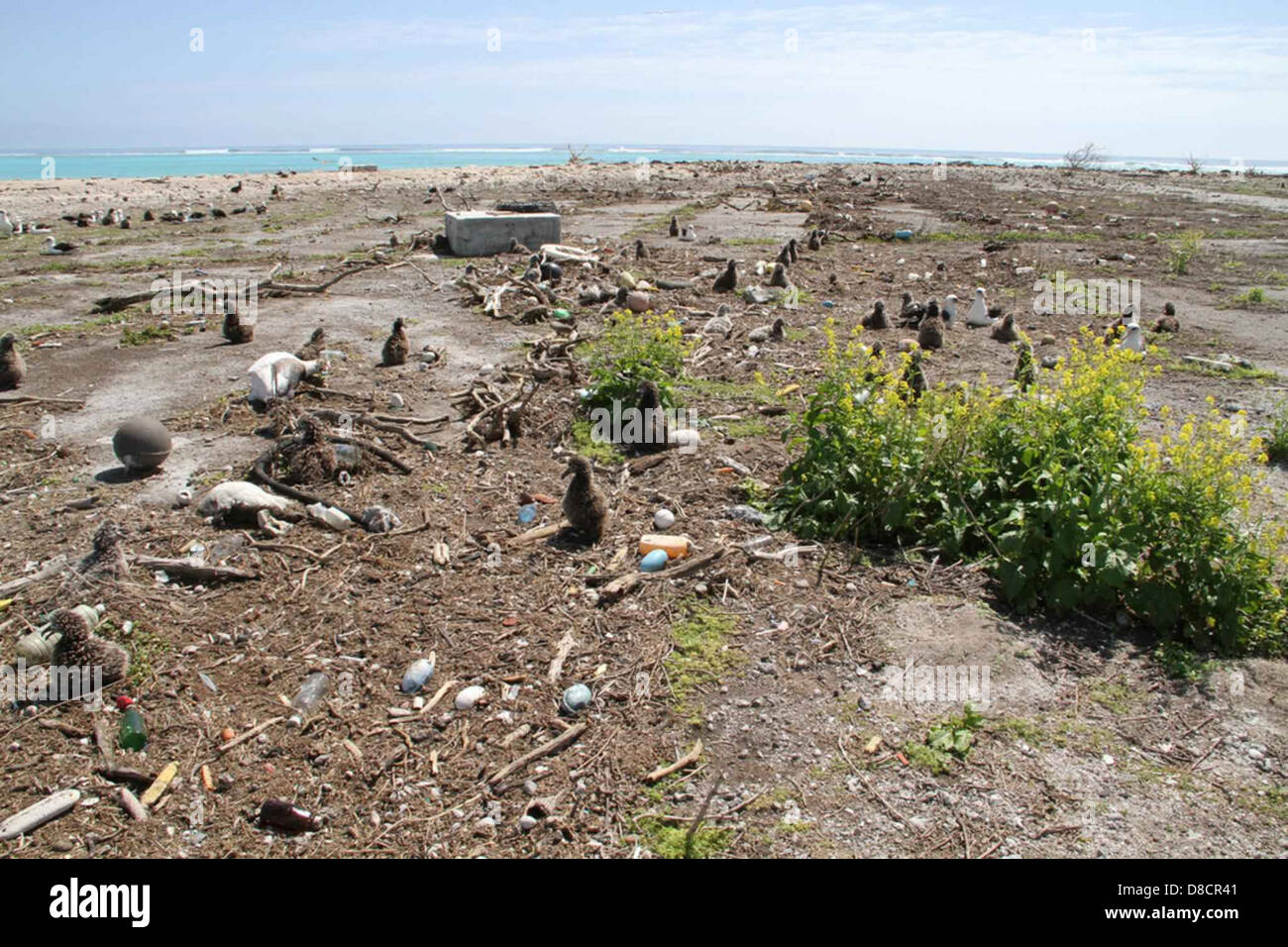 An island affected by a tsunami triggered by a powerful earthquake off ...