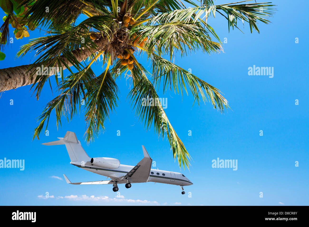 Private jet landing at the tropical resort Stock Photo - Alamy
