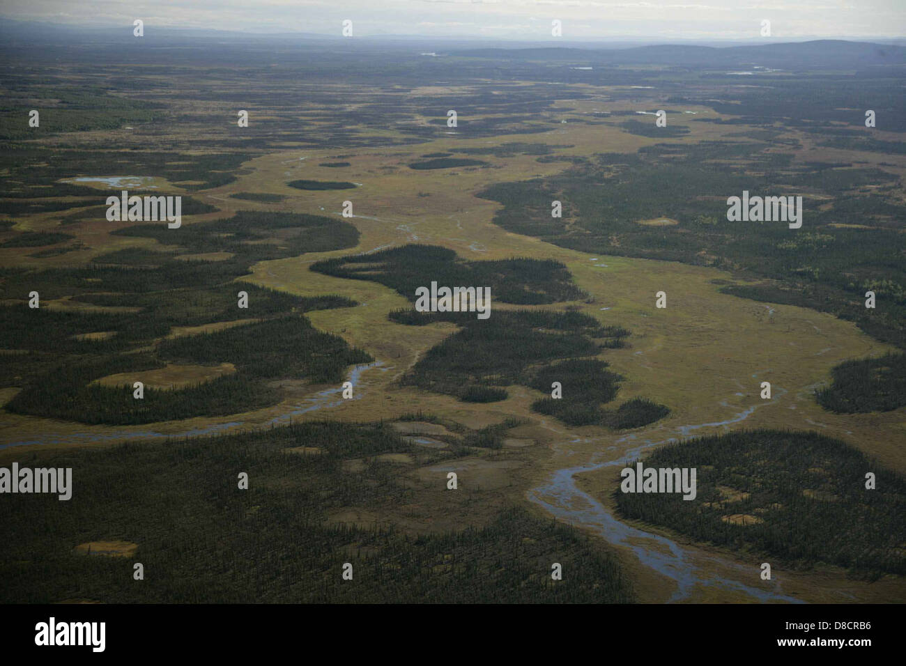 Kanuti national wildlife refuge hi-res stock photography and images - Alamy