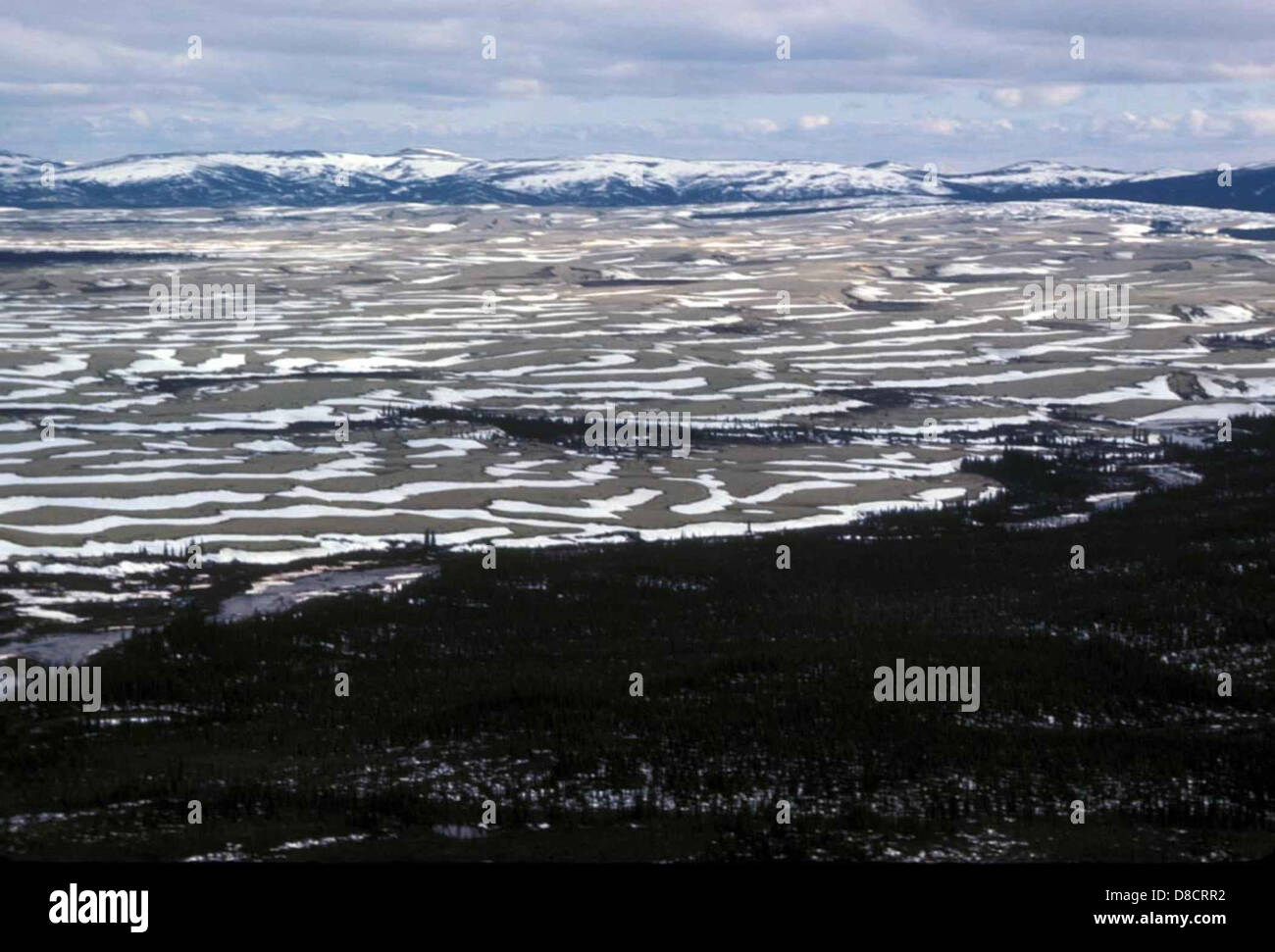 The Kobuk Sand Dunes in Alaska are expansive, dynamic sand formations within the Arctic ...