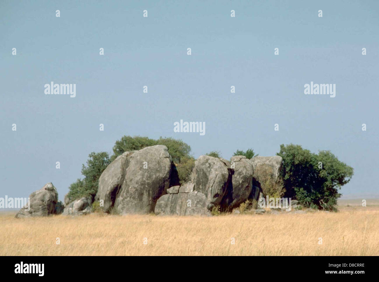 Serengeti lions hyenas hi-res stock photography and images - Alamy