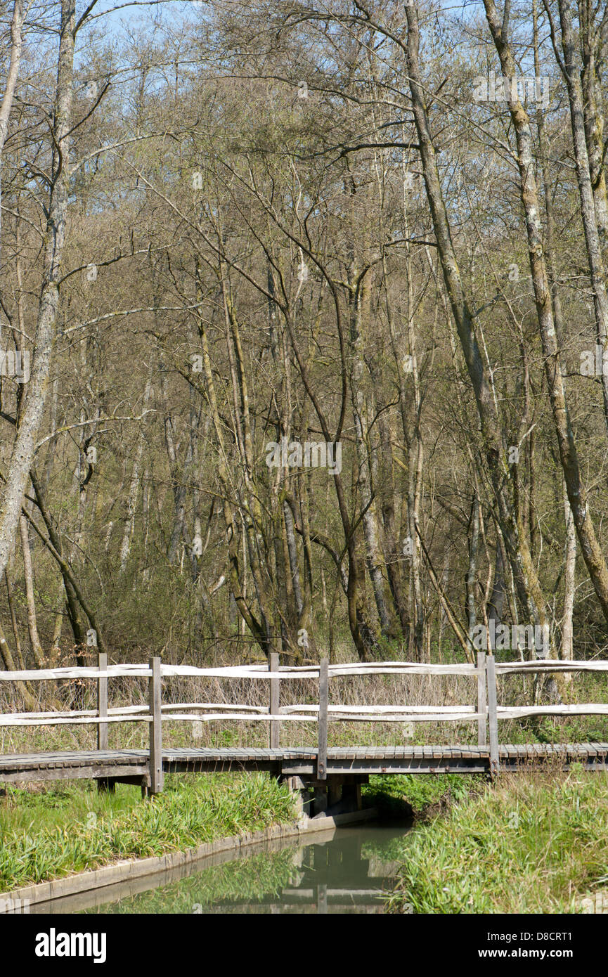 View of the Loder Valley, West Sussex, UK. April Stock Photo - Alamy