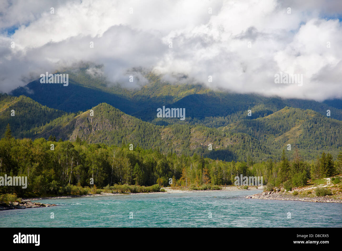 Amazing Mountain Altai landscape with river Katun Stock Photo - Alamy