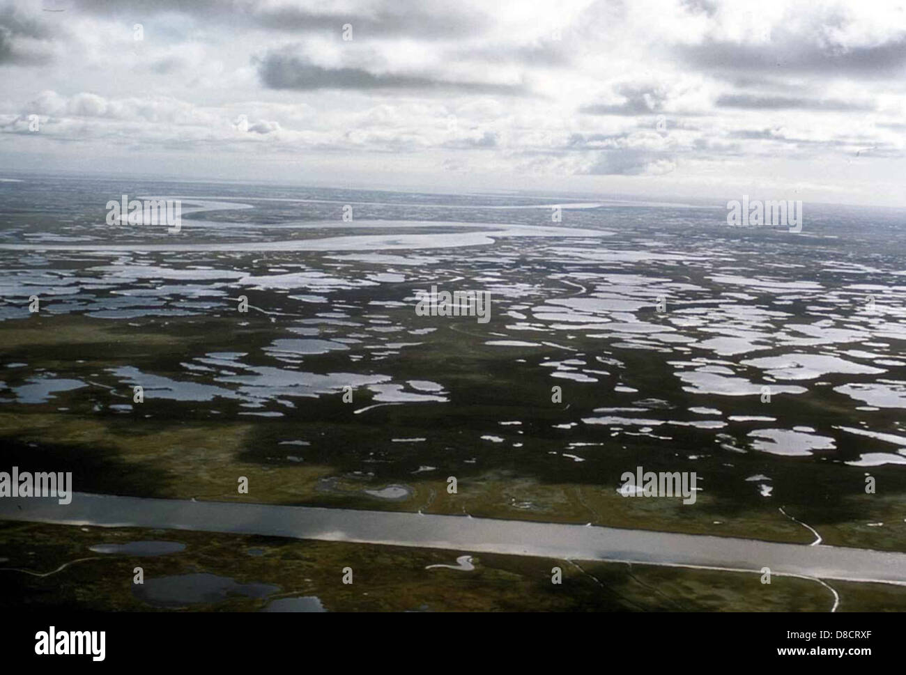 Landscape of lakes in the swamp windy overcast day Stock Photo - Alamy