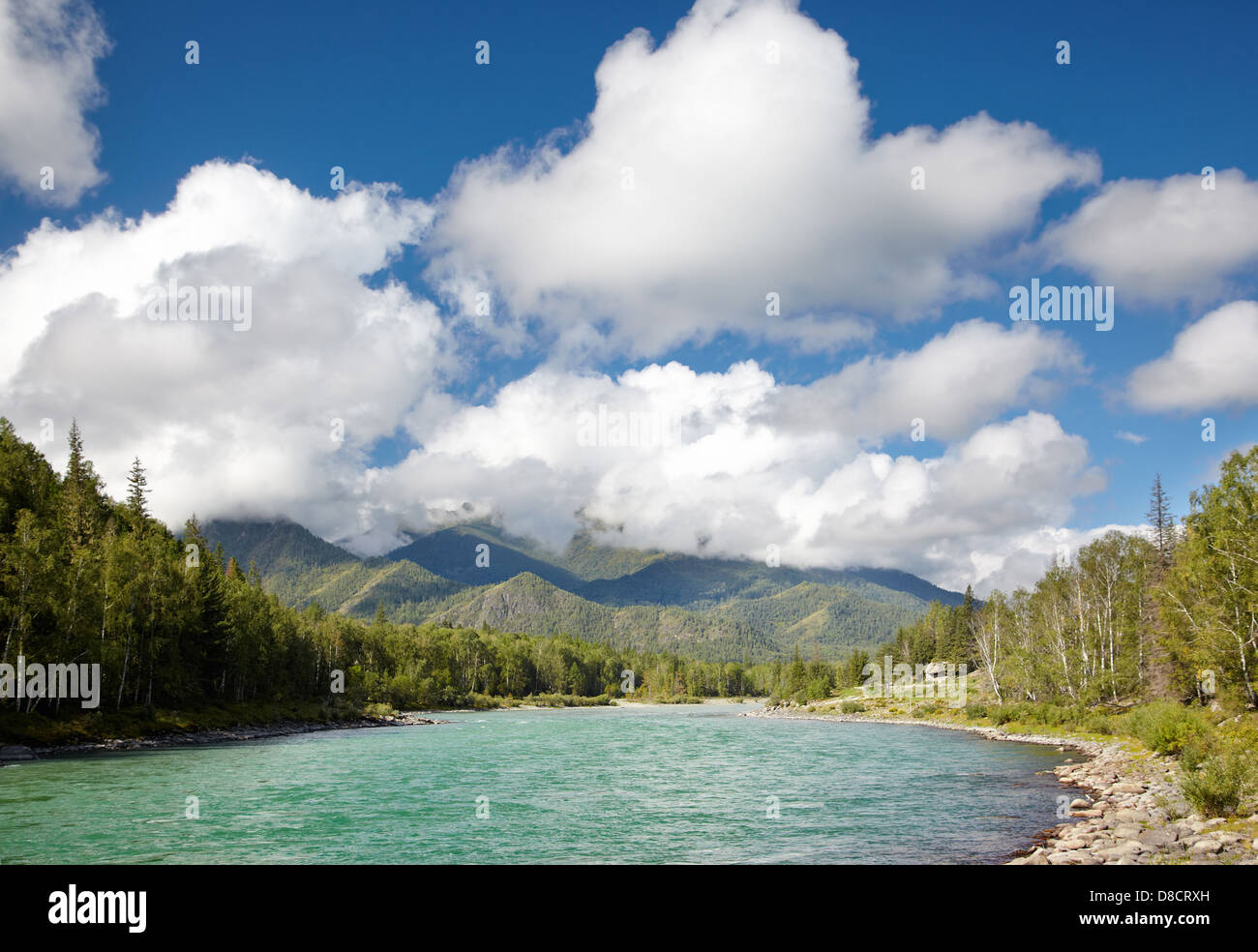 Amazing Mountain Altai landscape with river Katun Stock Photo - Alamy
