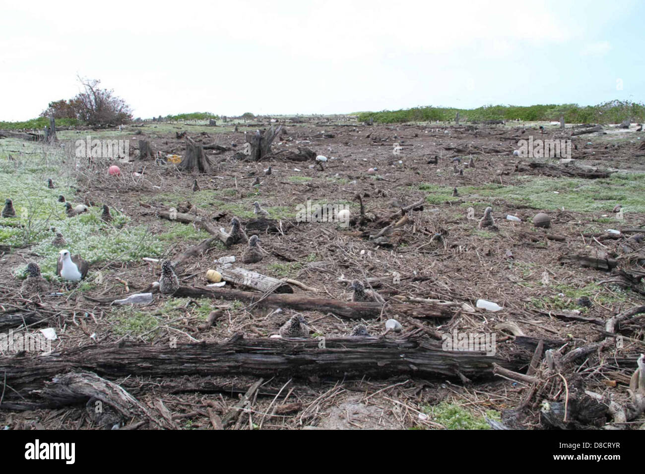 A large area covered with debris left by a tsunami, showing scattered ...