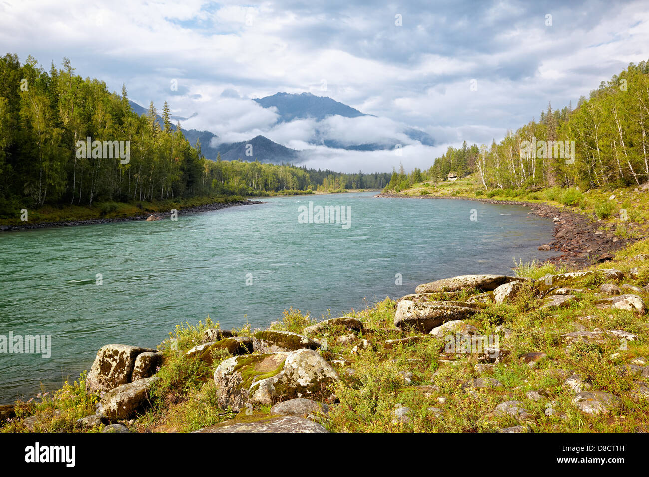 Amazing Altai landscape with river Katun and morning fog over mountains ...