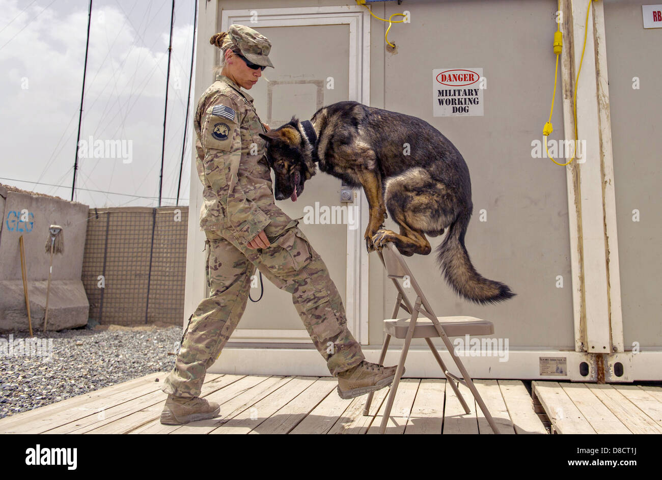 US Air Force Staff Sgt. Jessie Johnson, a military working dog handler ...