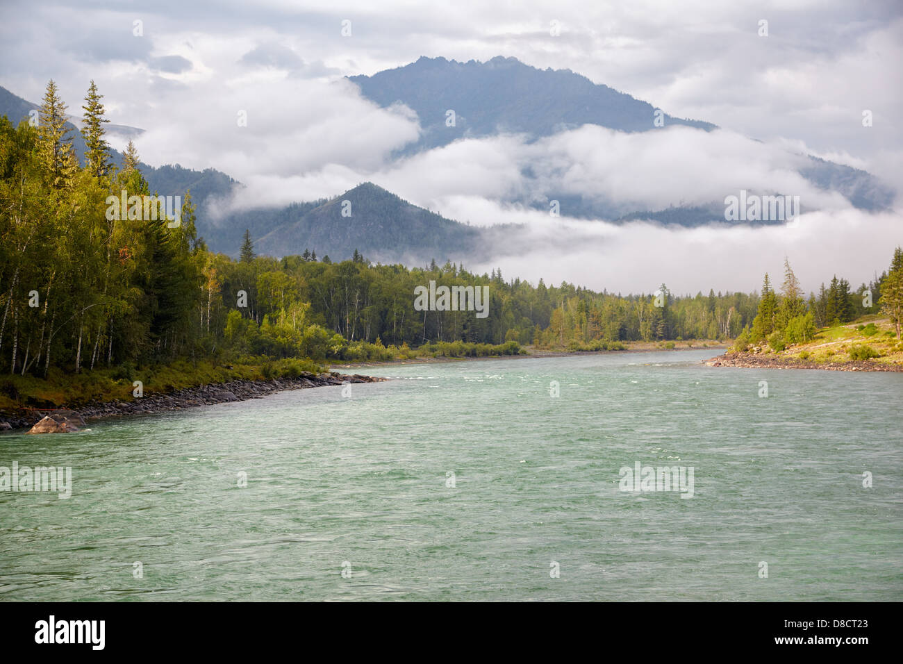 Amazing Altai landscape with river Katun and morning fog over mountains ...