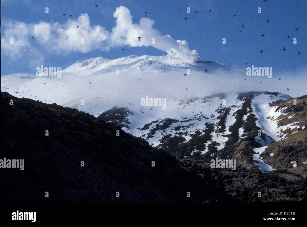 Lava flows and smoke rising from volcano Stock Photo - Alamy