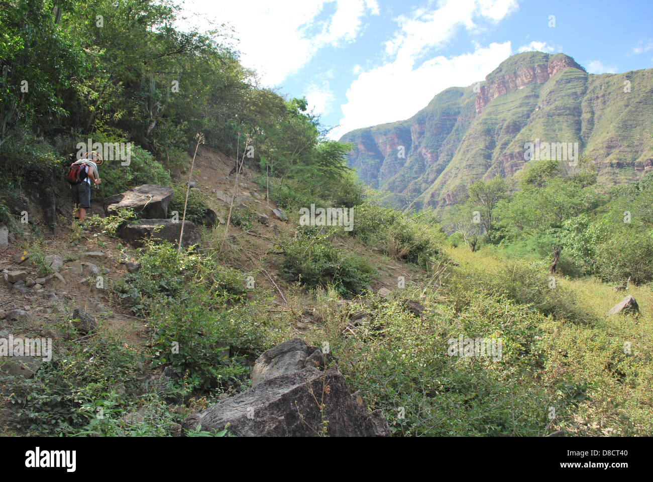 My friend Carlos hiking through a hot canyon Stock Photo - Alamy