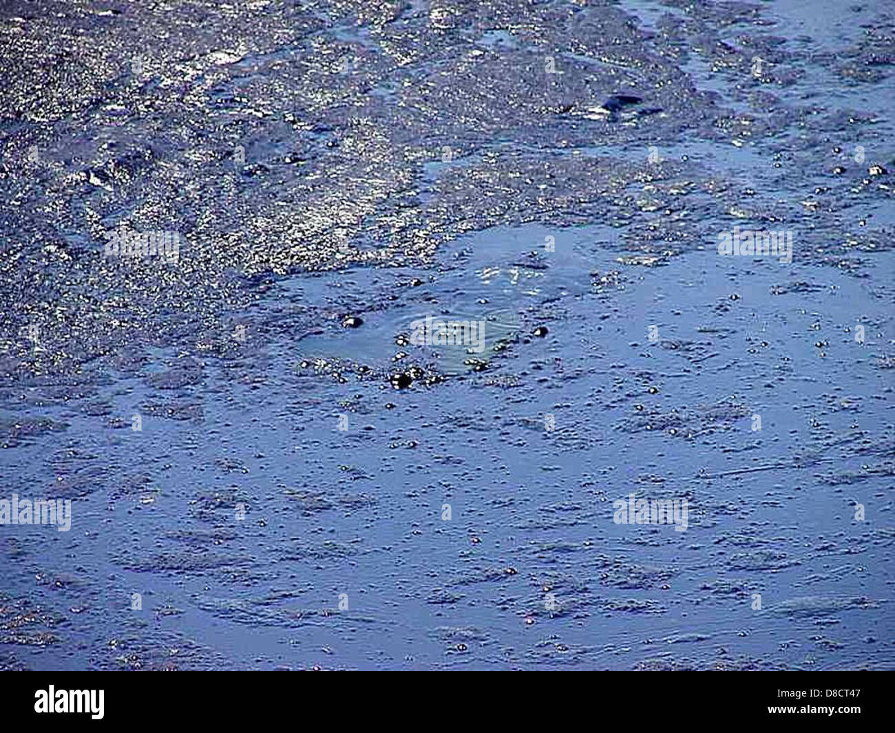 Fossils in brea tar pits hi-res stock photography and images - Alamy