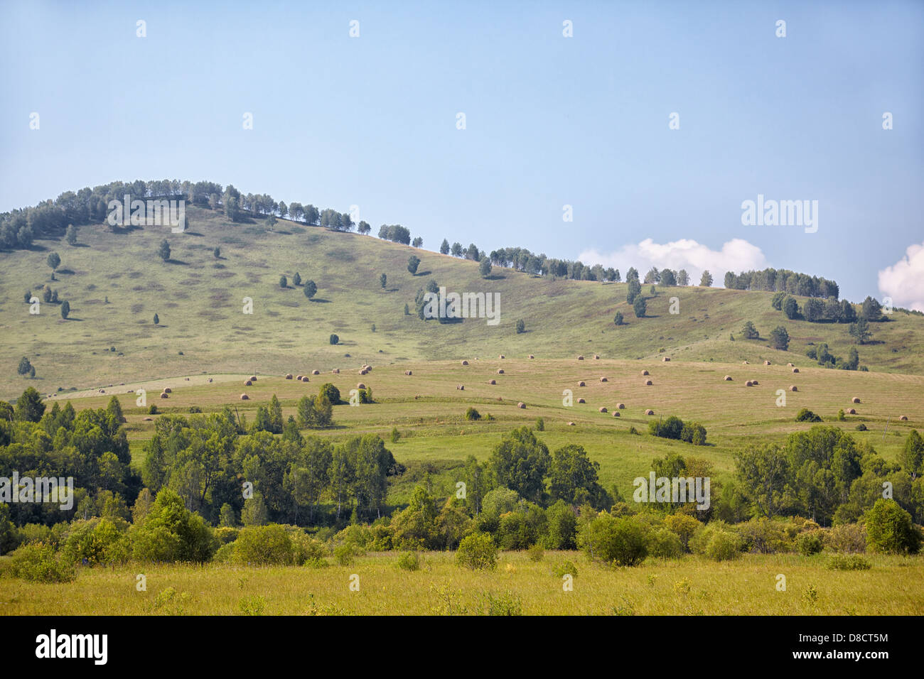 Summer Altai landscape with hills and meadows Stock Photo - Alamy