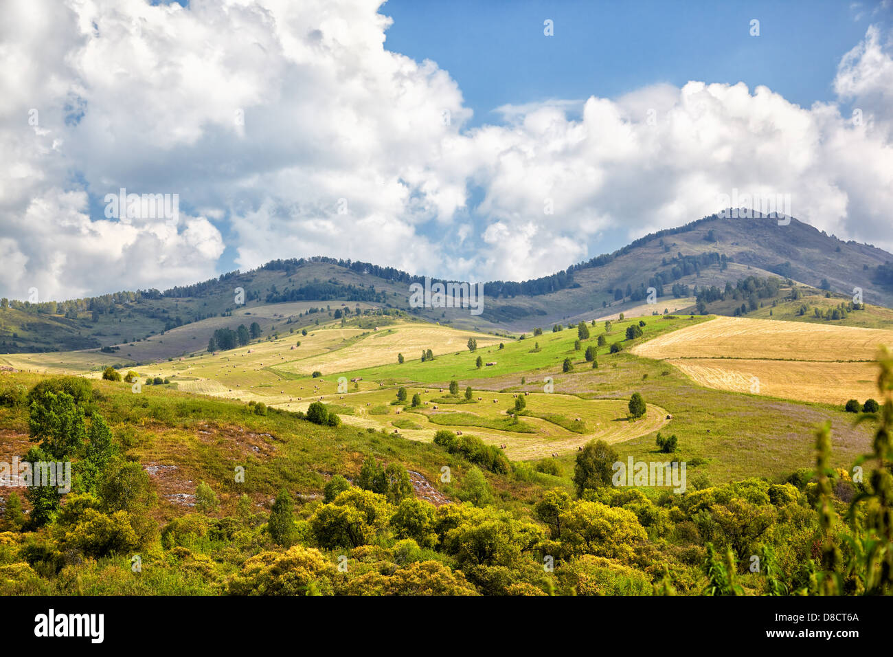 Summer Altai landscape with hills and meadows Stock Photo - Alamy