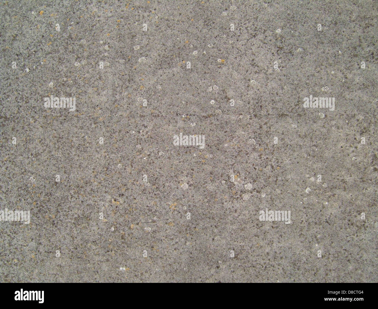 Lichen growing on concrete surfaces, illustrating the process of ...