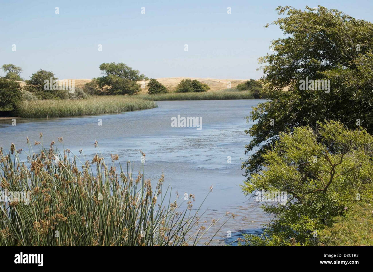 San joaquin delta birds hi-res stock photography and images - Alamy