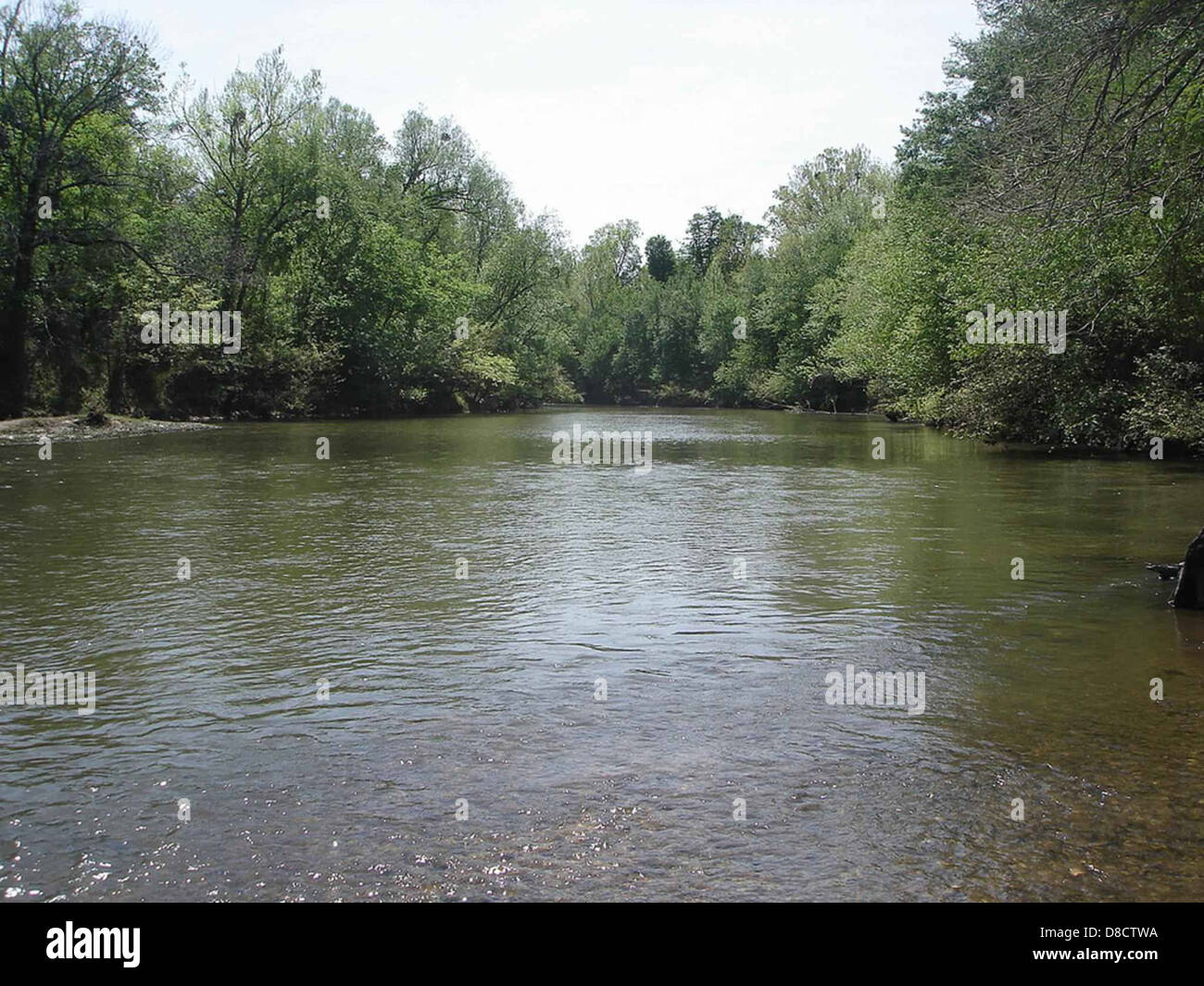 The Little River flows through the Little River National Wildlife ...