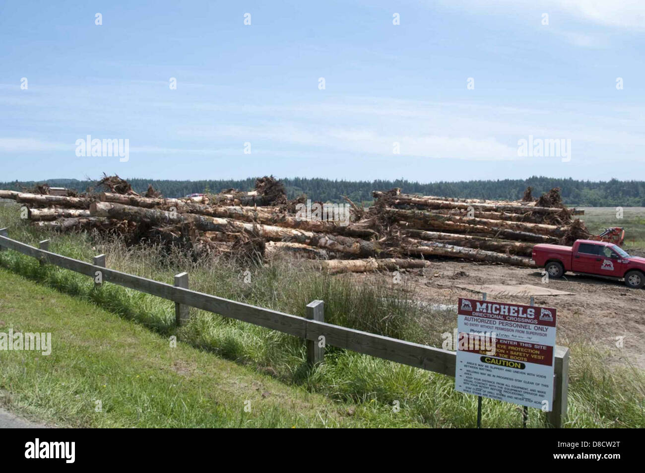 Logs with root wads still attached are being gathered and stockpiled ...