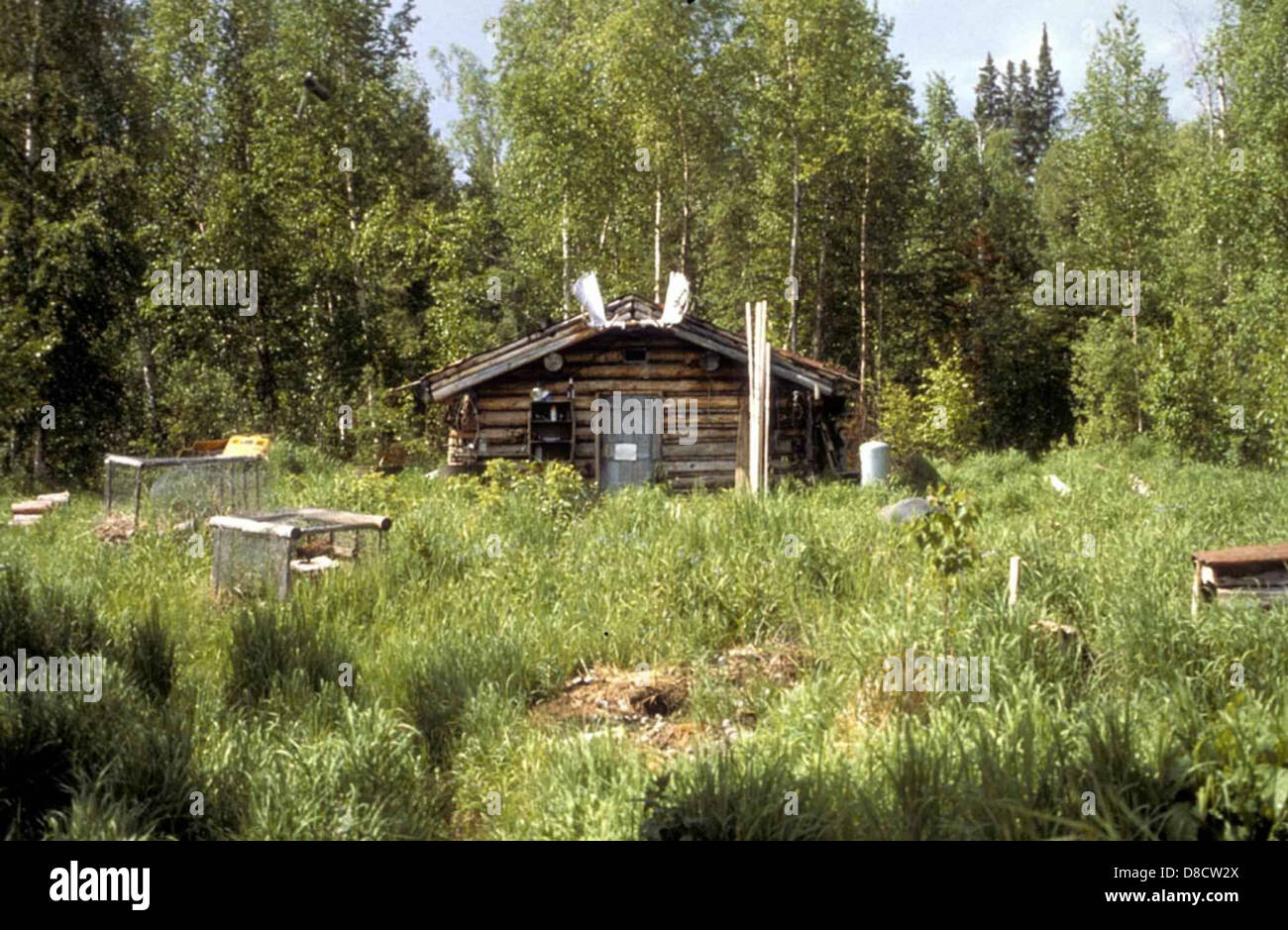 Log cabin along the Nowitna river Stock Photo - Alamy