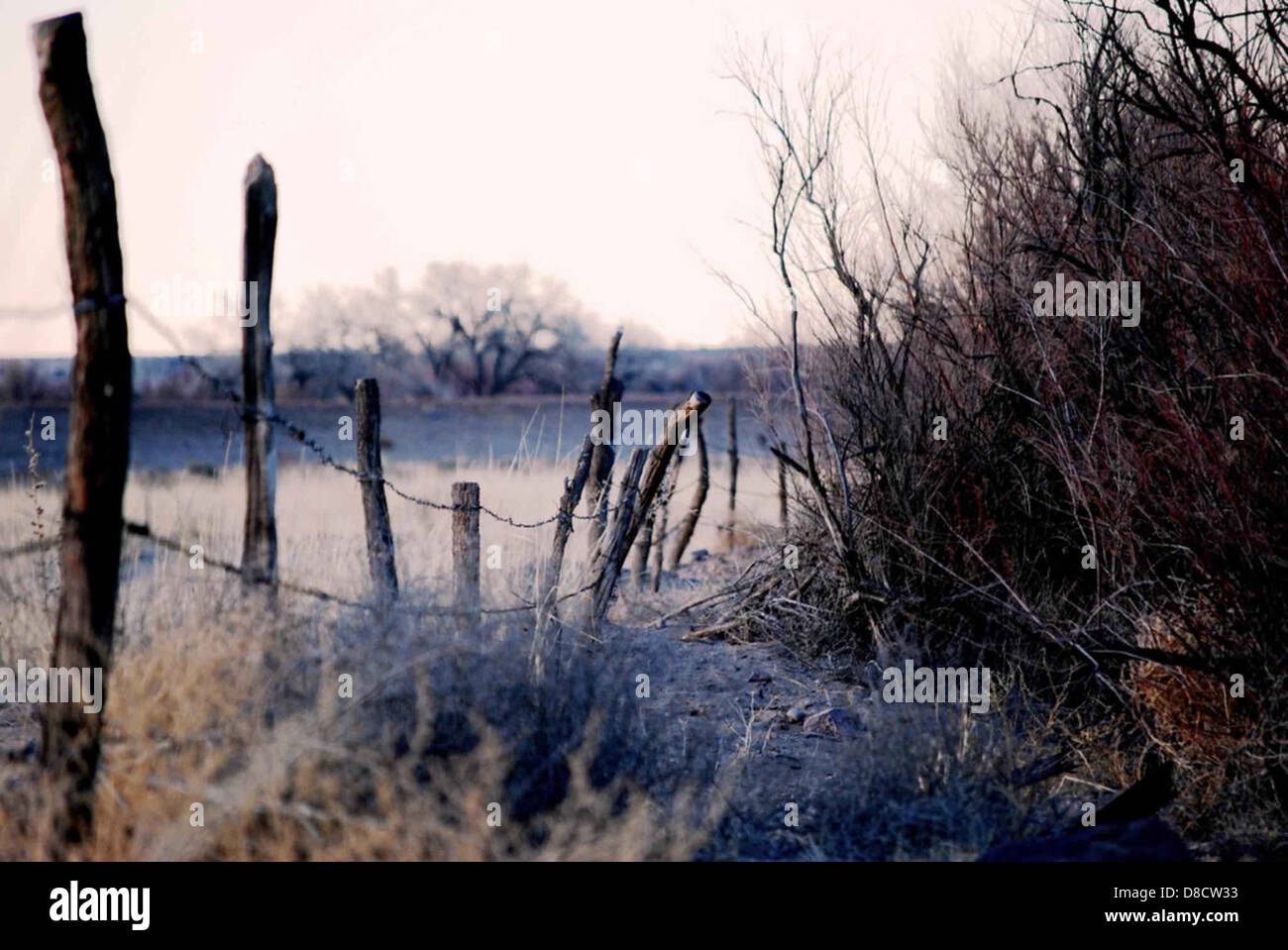A solitary fence line stretches across a barren landscape, emphasizing ...