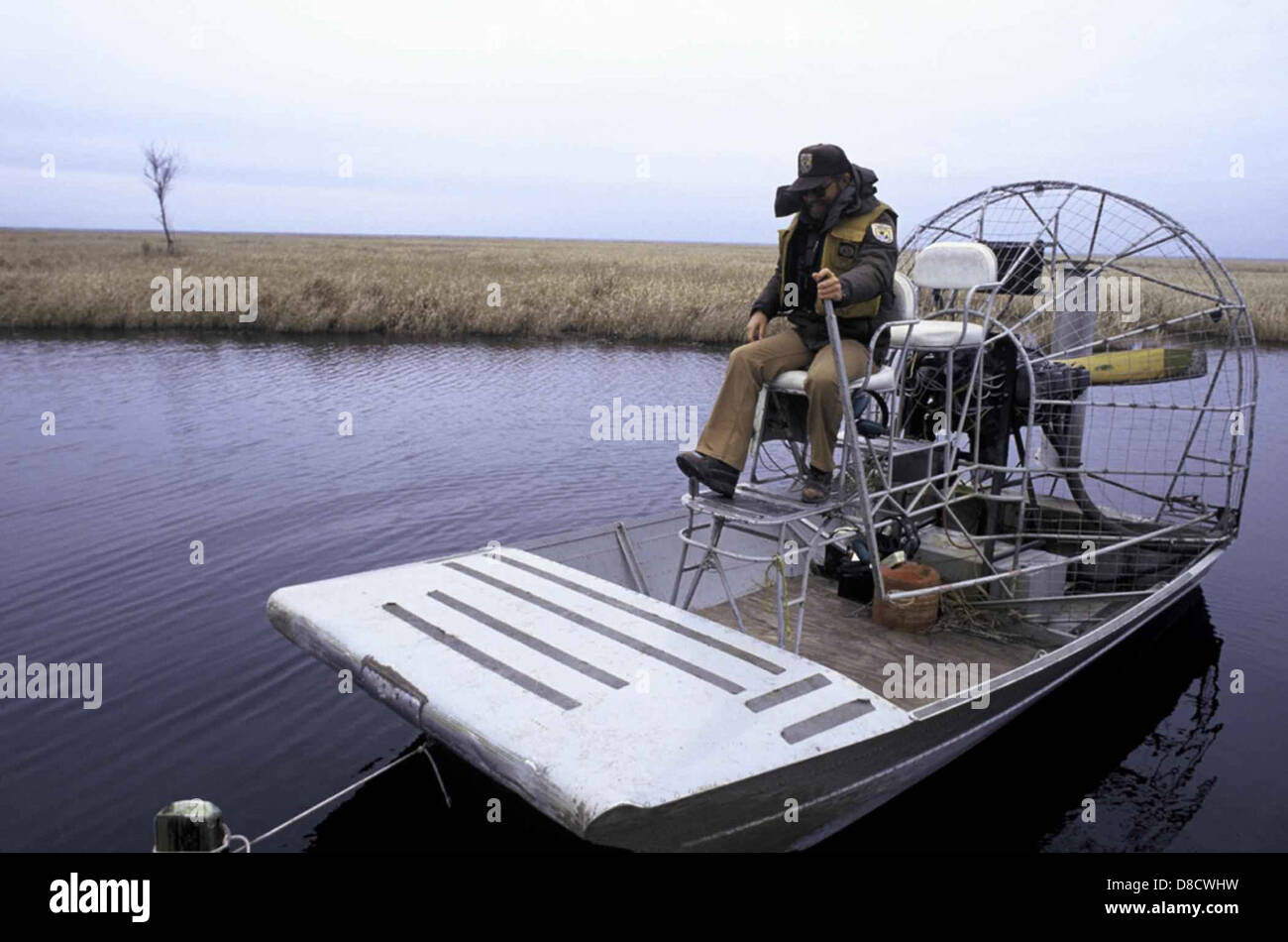 Man driving airboat on swamp water Stock Photo - Alamy