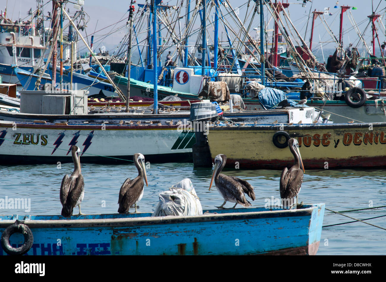 Paracas National Reserve. Paracas fishing port Stock Photo - Alamy