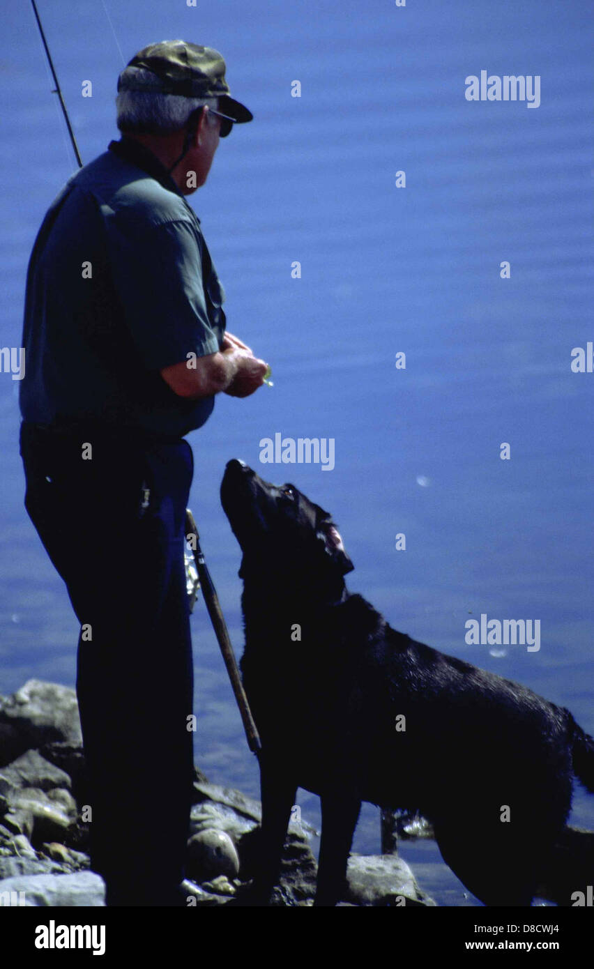 A man fishing by a river or lake, accompanied by his dog. The scene ...