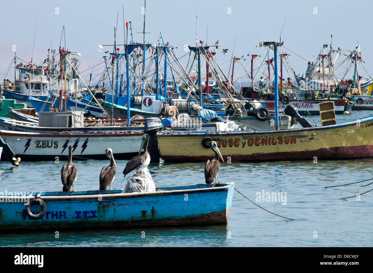 Paracas National Reserve. Paracas fishing port Stock Photo - Alamy
