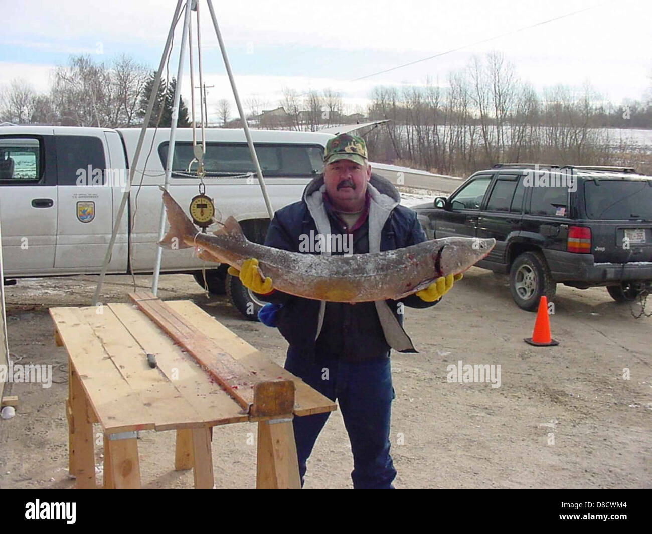 Prehistoric lake sturgeon hi-res stock photography and images - Alamy