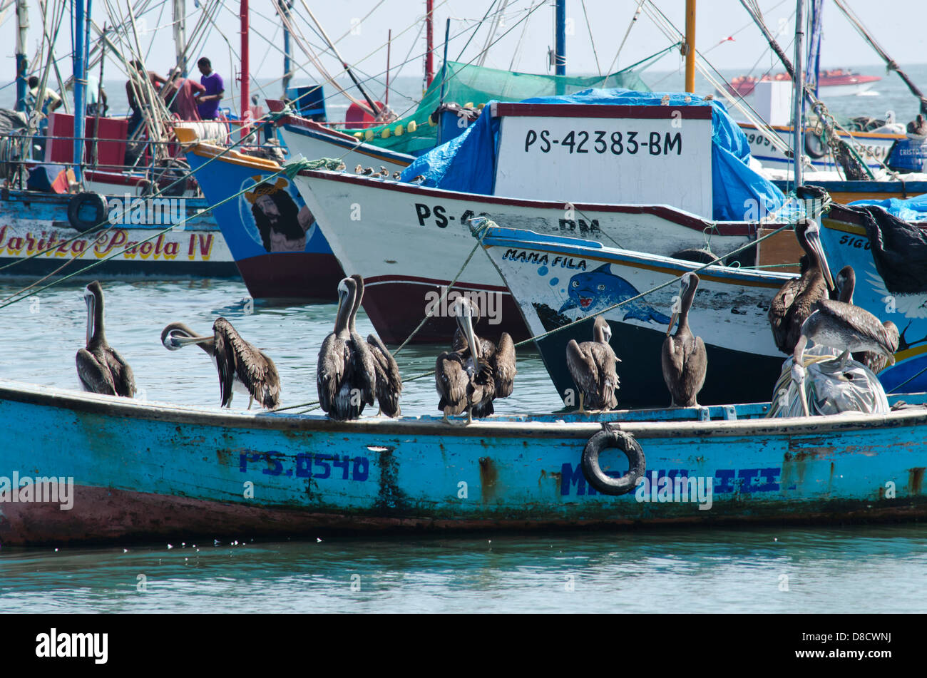 Paracas National Reserve. Paracas fishing port Stock Photo - Alamy