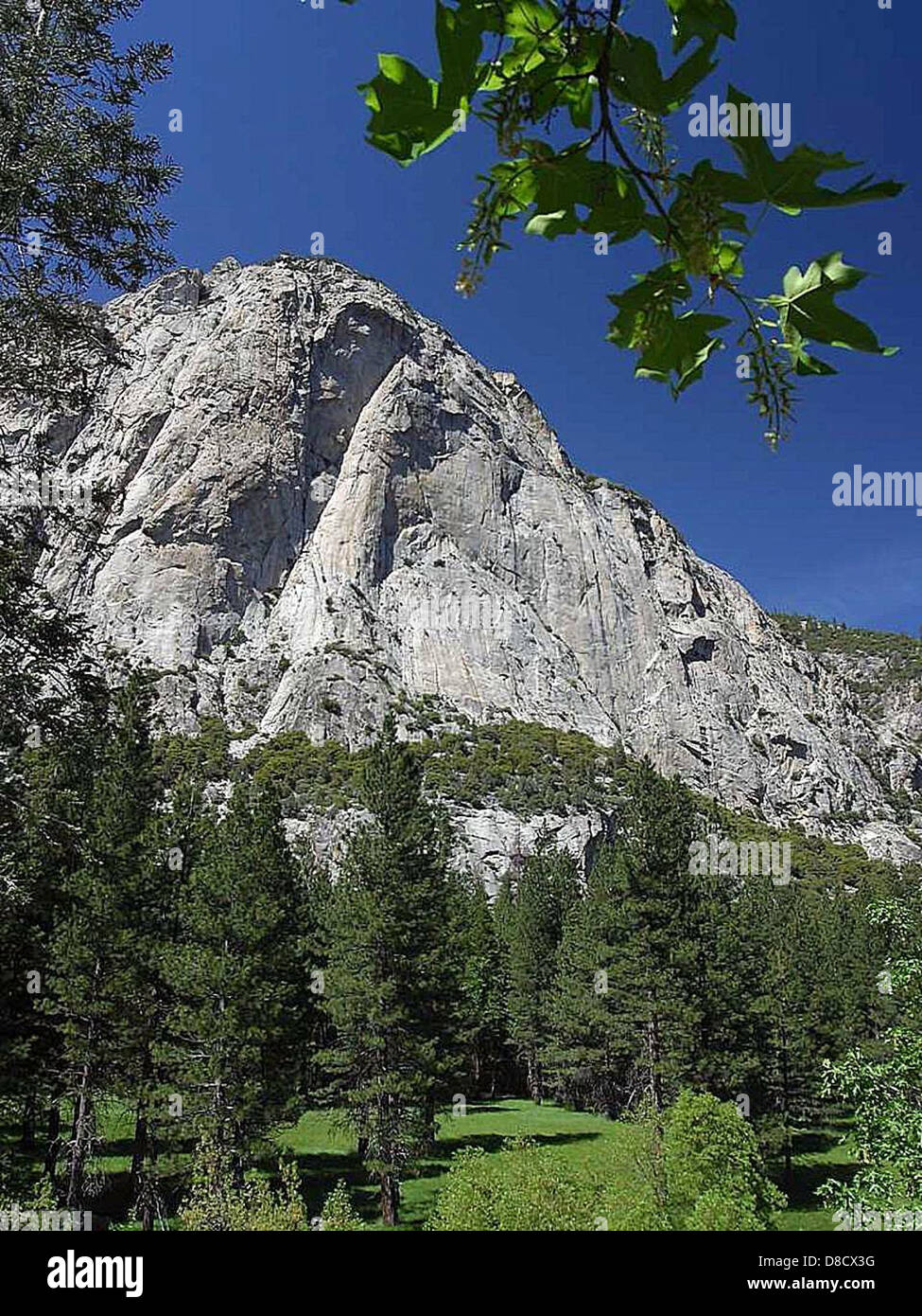 A scenic view of meadows and cliffs within Sequoia National Park, with ...