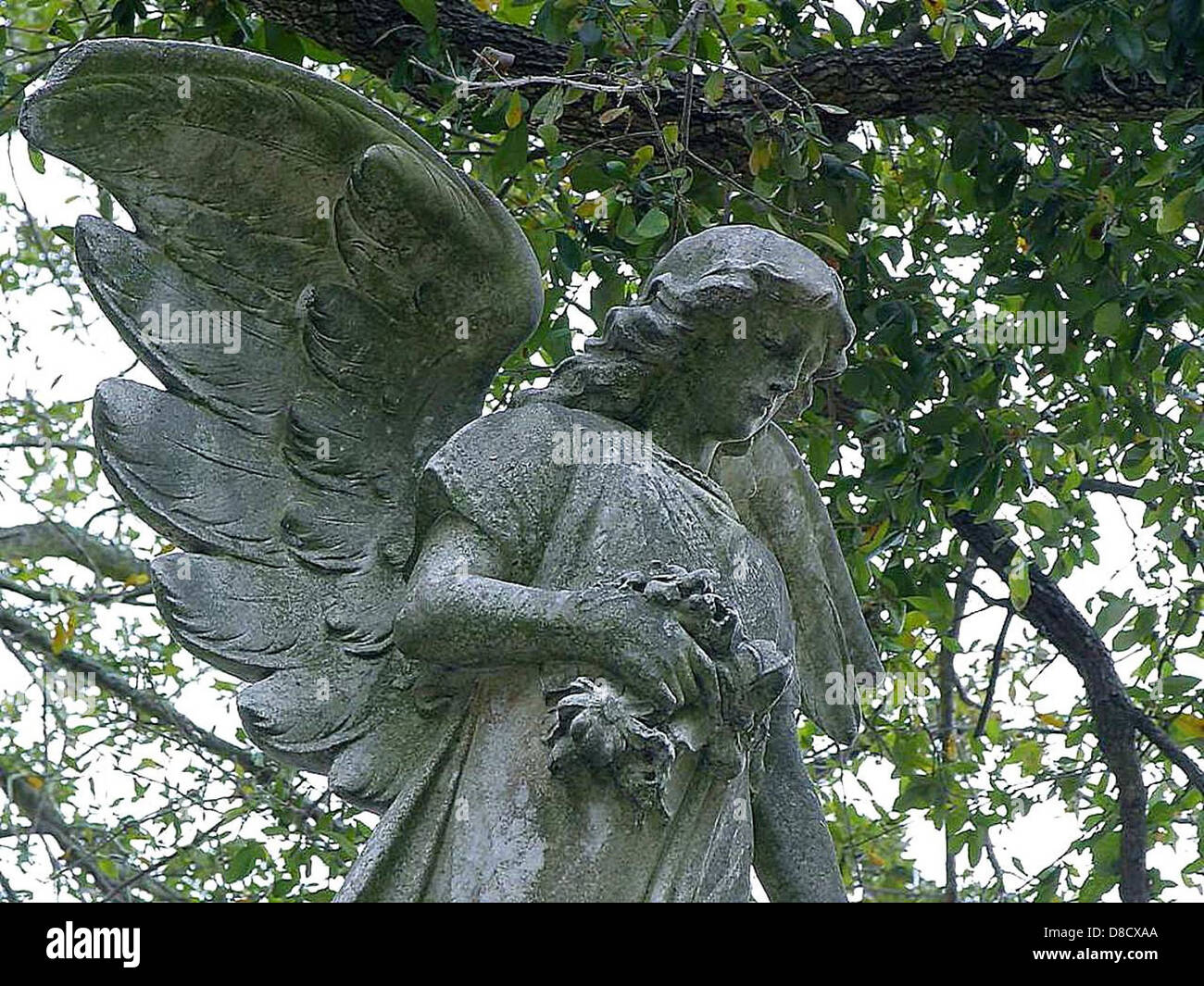 Angels statues hi-res stock photography and images - Alamy