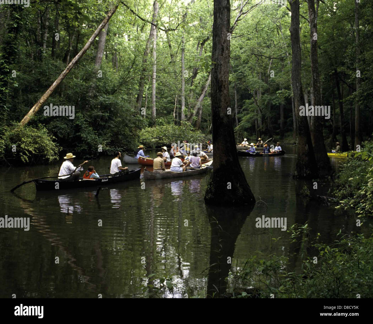 Waterway floating vegetation hi-res stock photography and images - Alamy