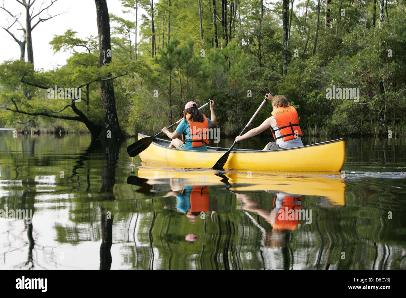Two canoers peacefully paddle along a calm body of water, surrounded by ...