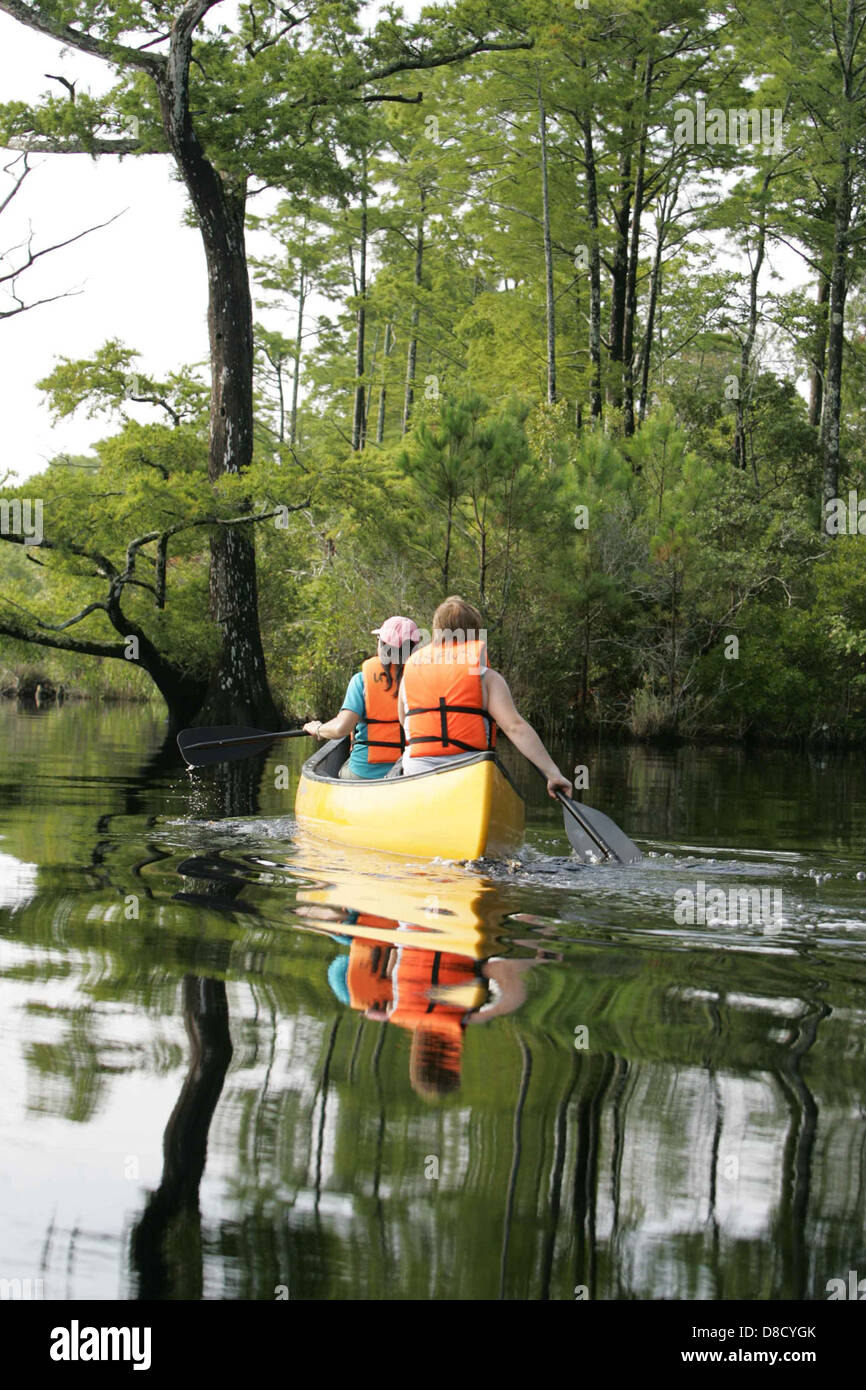 Canoers paddling near the shoreline in a calm body of water. The image ...