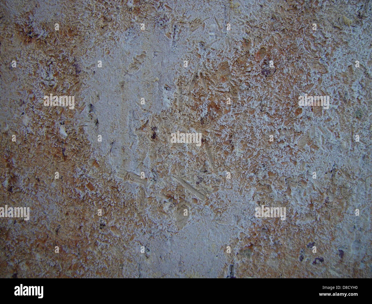Mottled pattern hi-res stock photography and images - Alamy